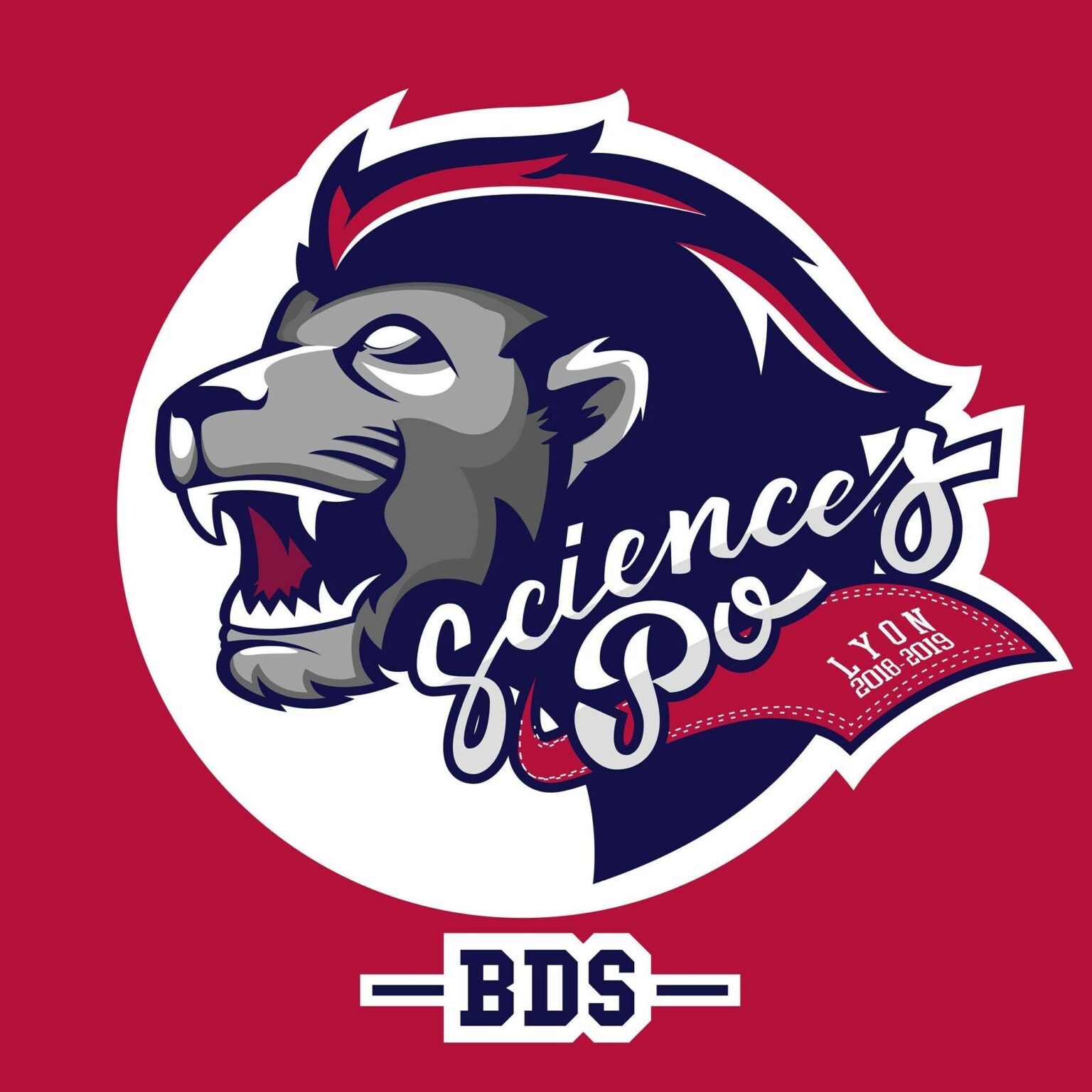 Sport - Sciences Po Lyon